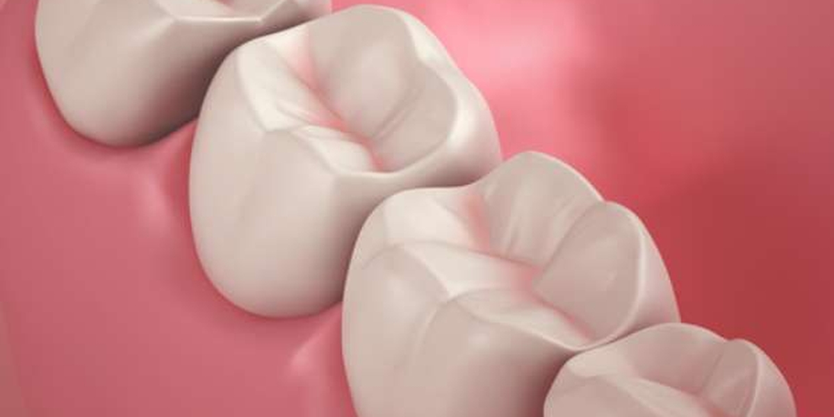 Conheça as funções de cada dente - Guiame