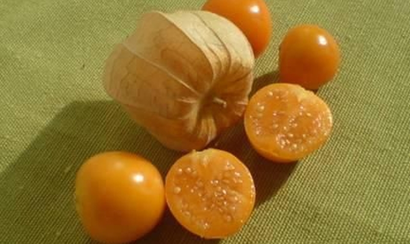 Golden Berry é a fruta ideal para quem não come carne - Guiame