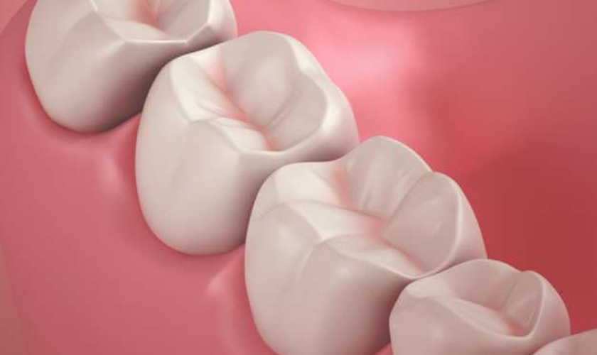 Conheça as funções de cada dente - Guiame