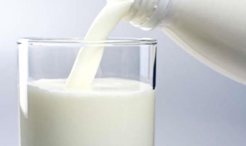 Confira as diferenças entre os tipos de leite e saiba qual o melhor ...